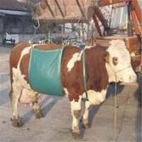 Cow Sling Lifting Device - Prime Stables