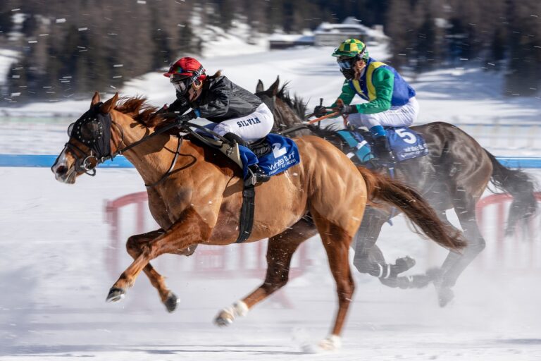 How Fast Can a Horse Run? - Answers Supplied by Experts