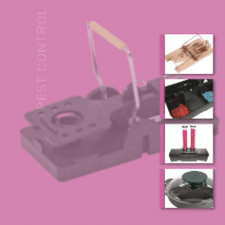 Products Archive - Prime Stables