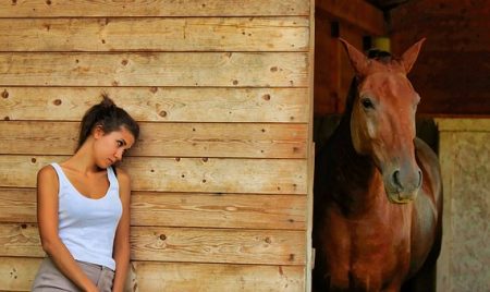 Horse Sweating in Stall: Warning Signs and What’s Normal - Prime Stables